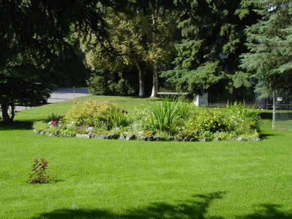 A1 Lawn & Landscaping Serving Anchorage and the Mat-Su Valley
